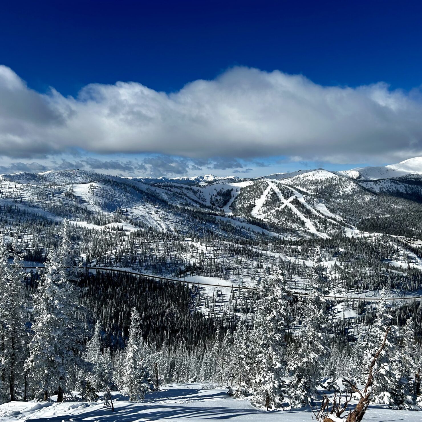 Headed Home - Monarch Mountain