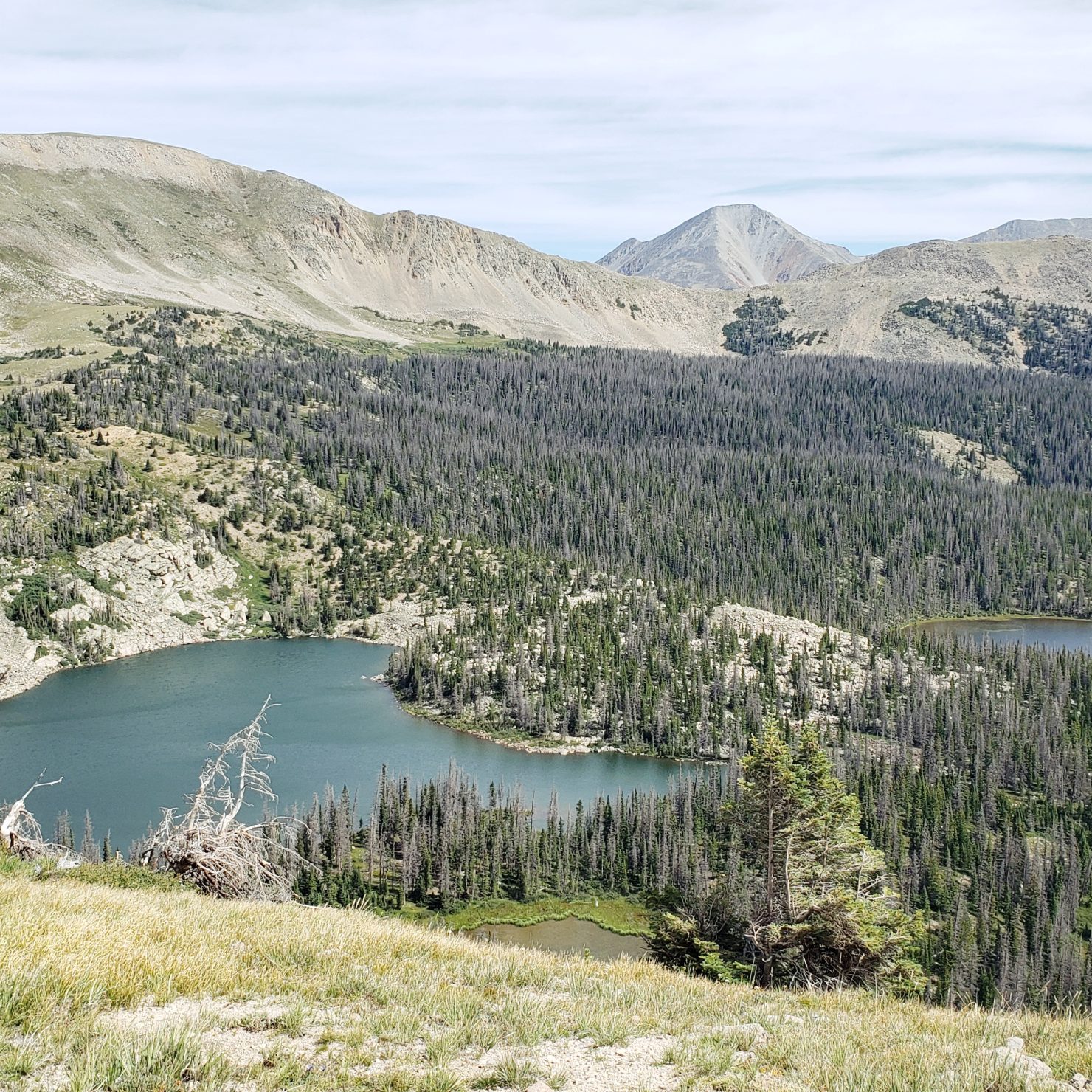 Trail Maps - Monarch Mountain