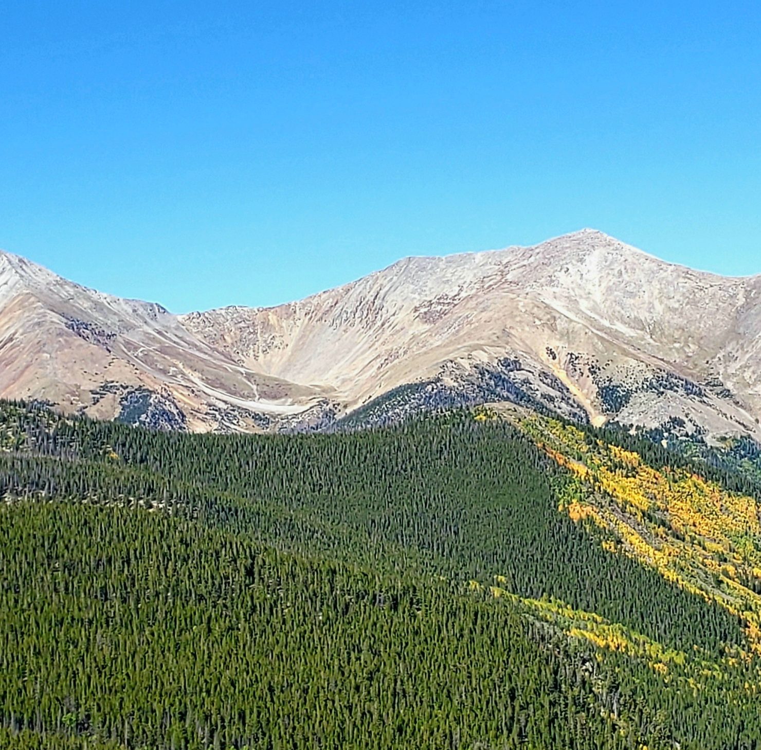 Trail Maps - Monarch Mountain
