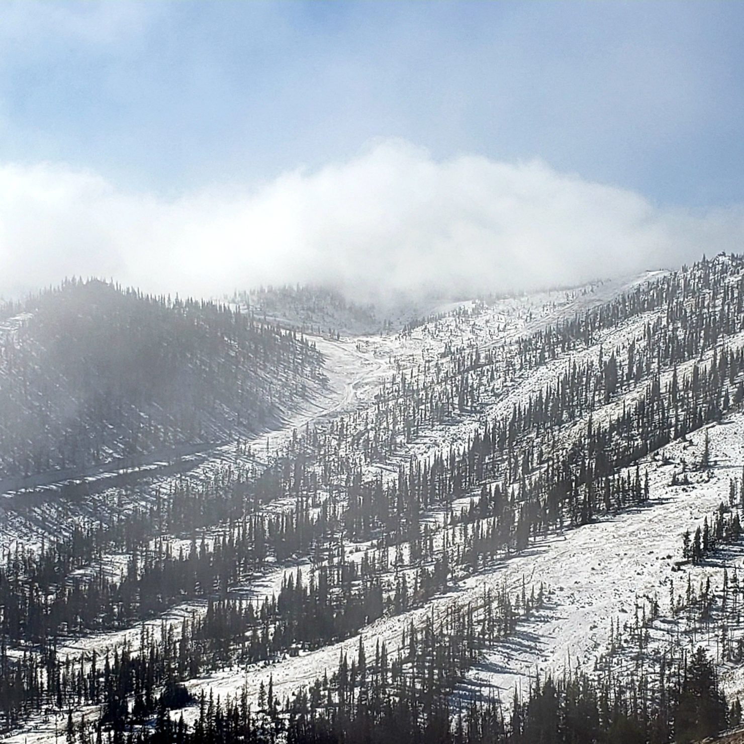 Trail Maps - Monarch Mountain