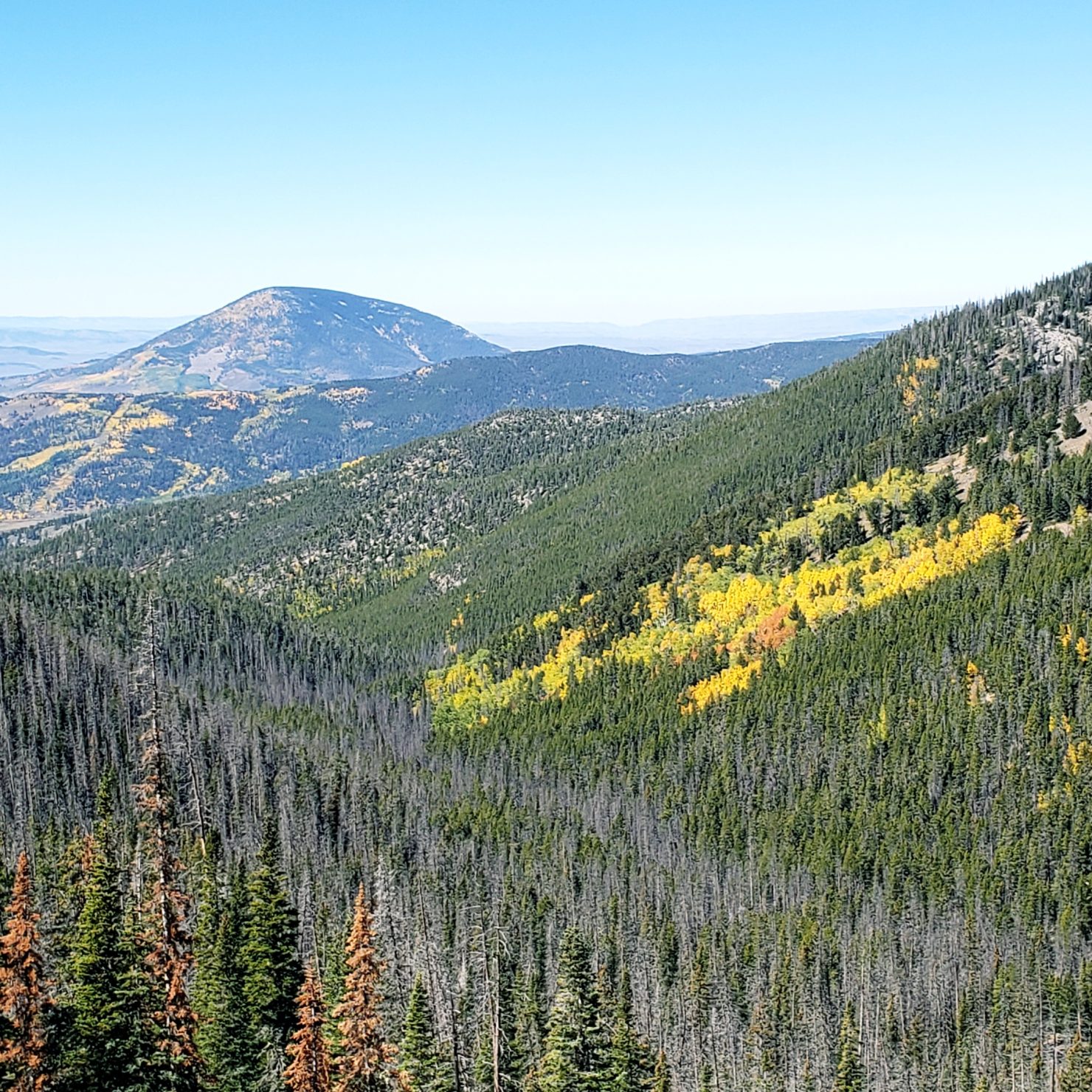 High Voltage - Monarch Mountain