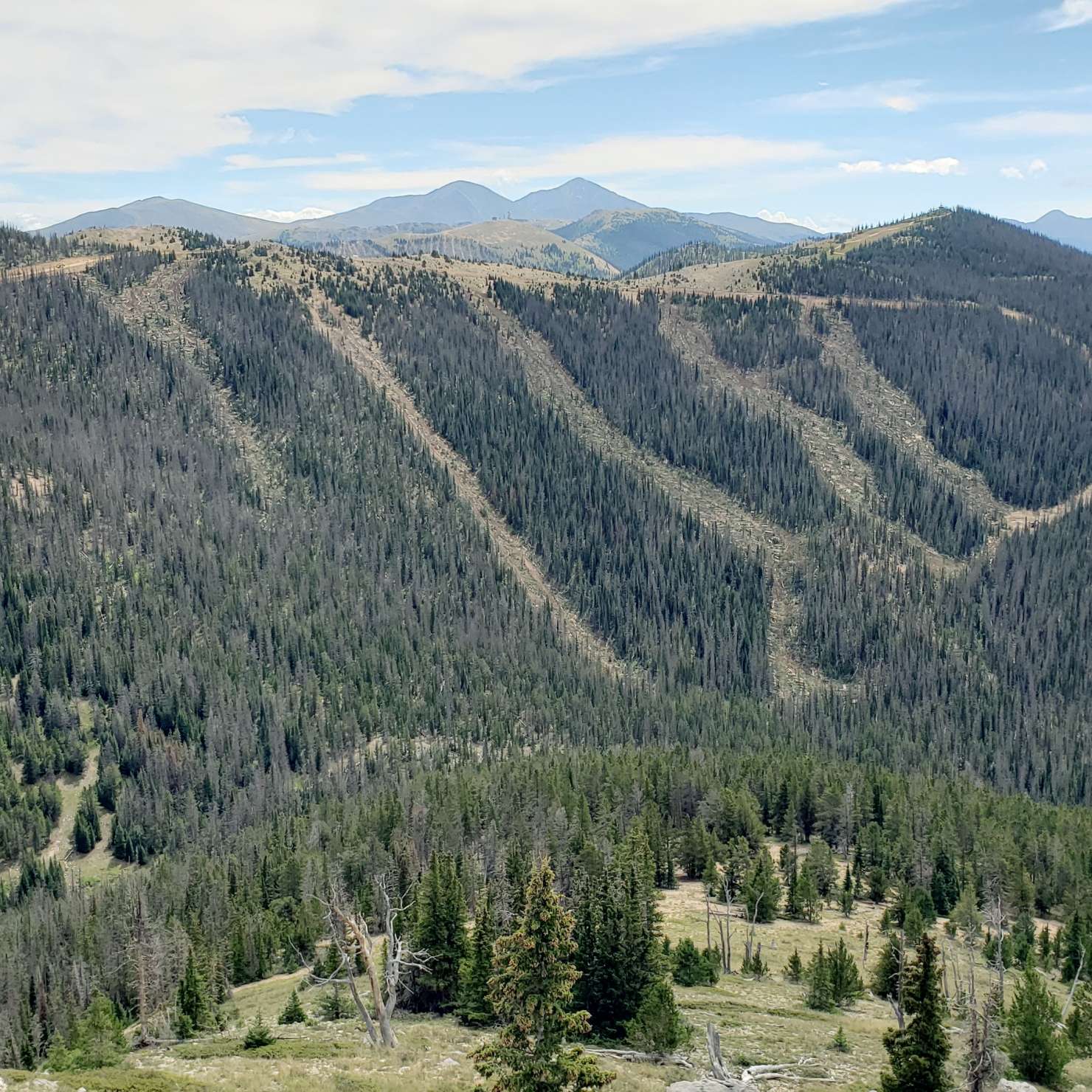 Trail Maps - Monarch Mountain