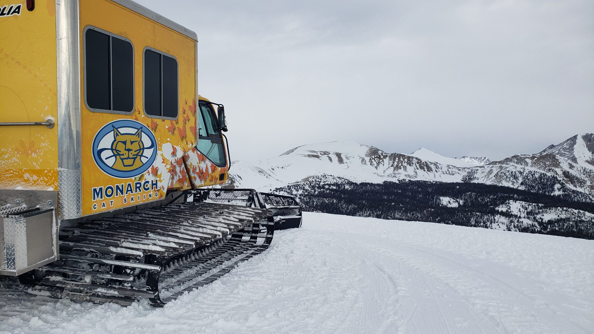 Cat Skiing is Open! - Monarch Mountain