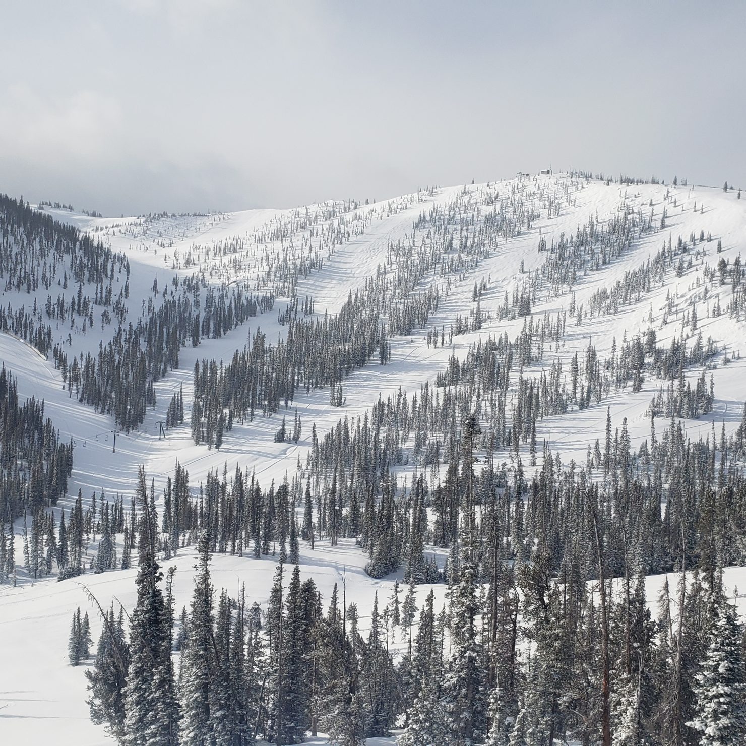 Trail Maps - Monarch Mountain