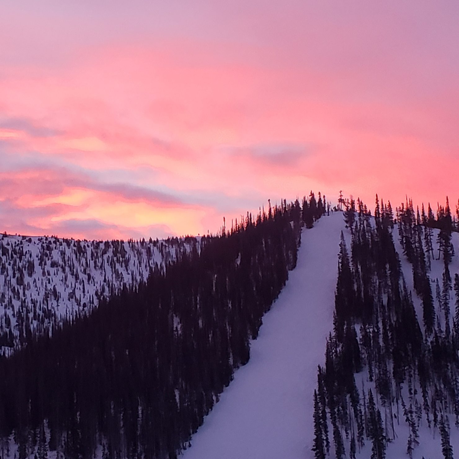 Trail Maps - Monarch Mountain