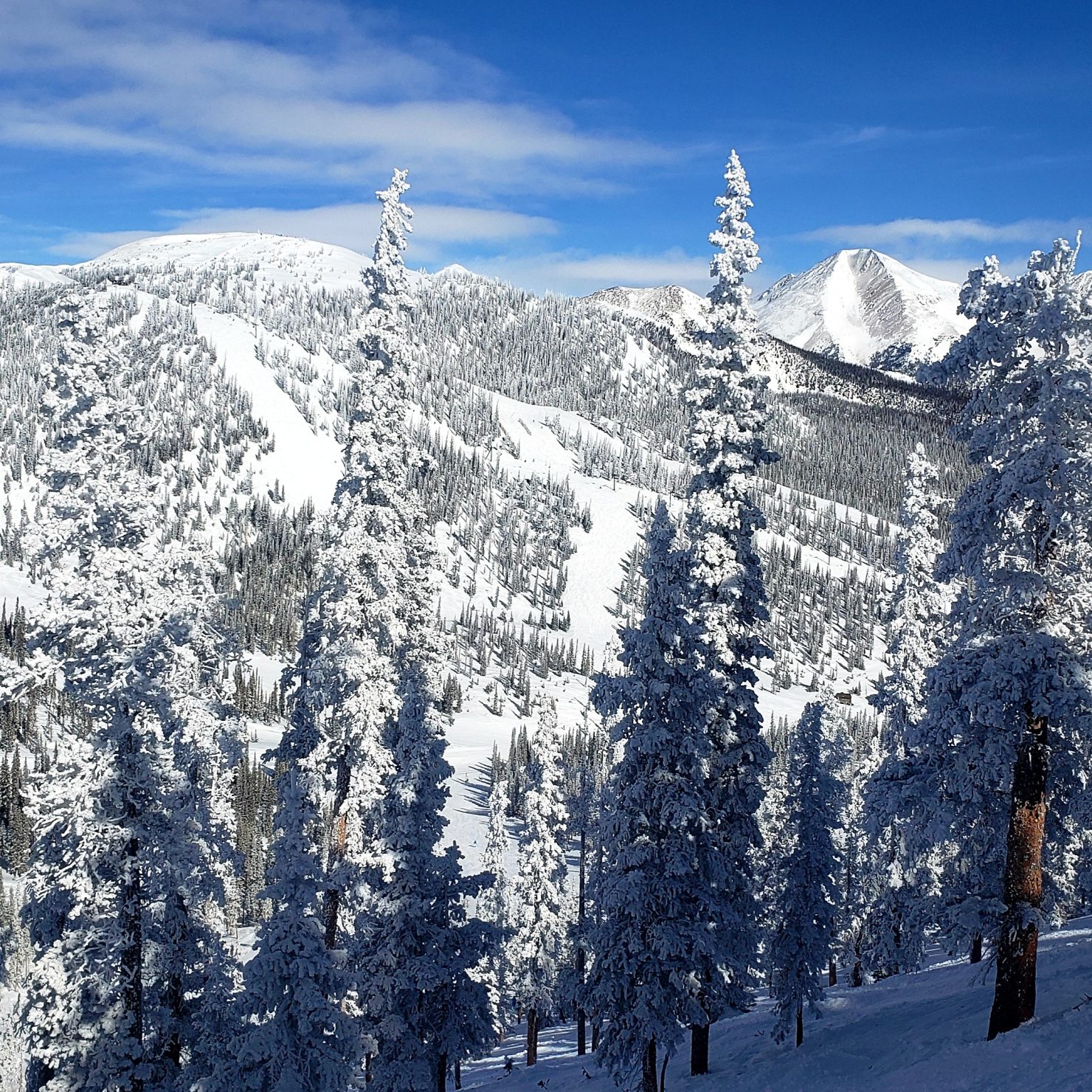 Trail Maps - Monarch Mountain