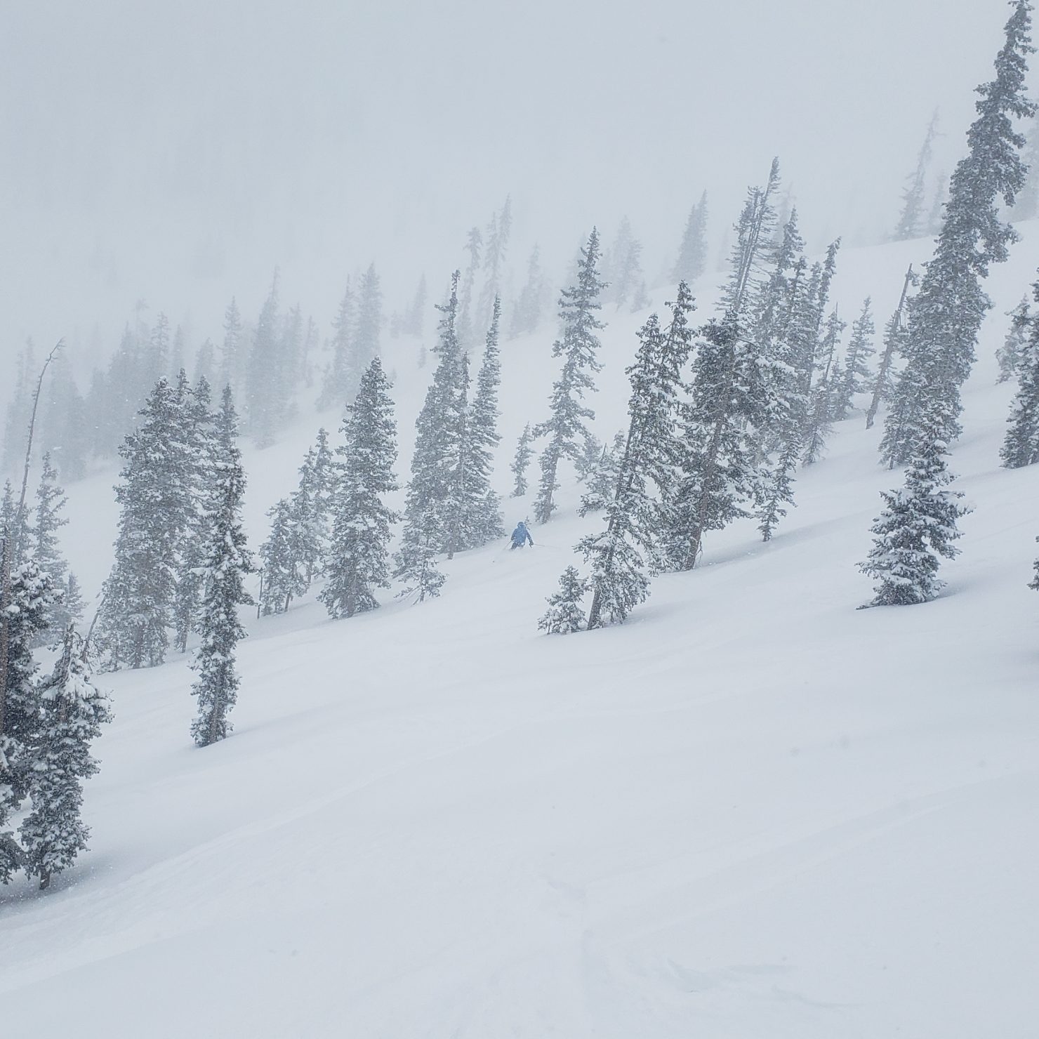 Trail Maps - Monarch Mountain