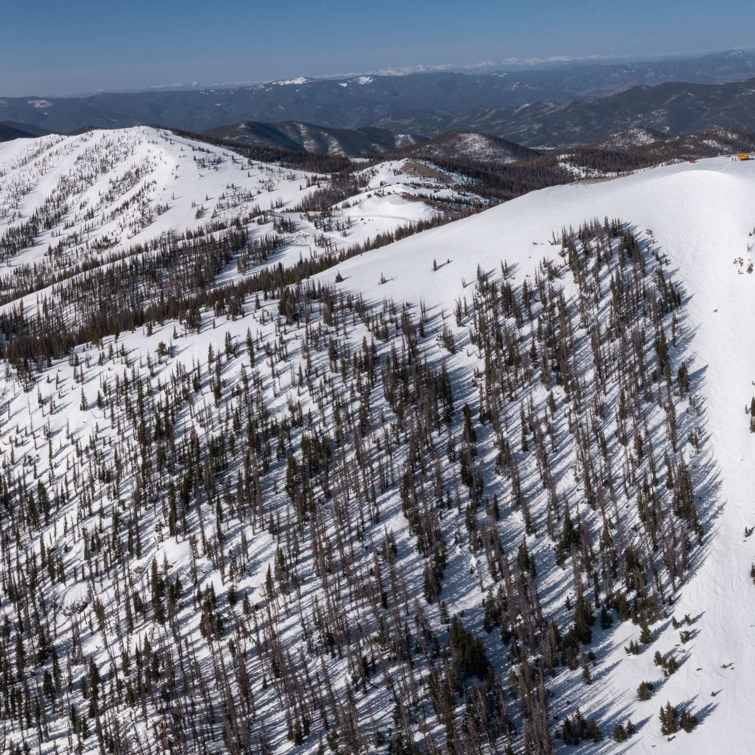 Trail Maps - Monarch Mountain