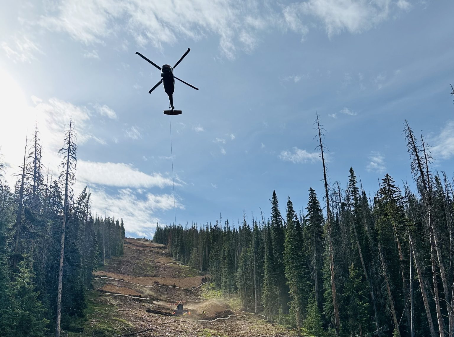 Flying Forms - Monarch Mountain