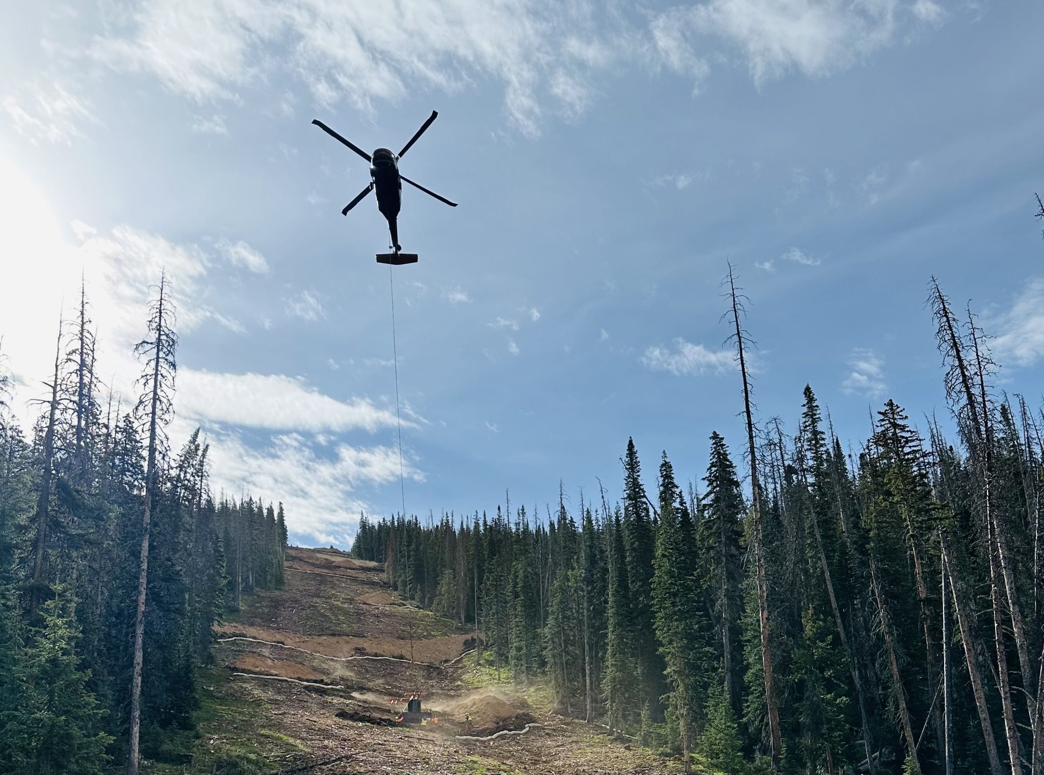 Flying Forms - Monarch Mountain