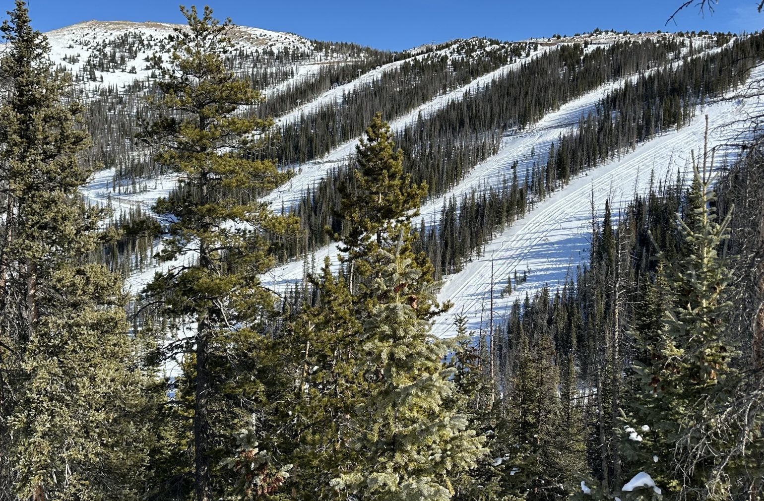 NNB Trails - Monarch Mountain